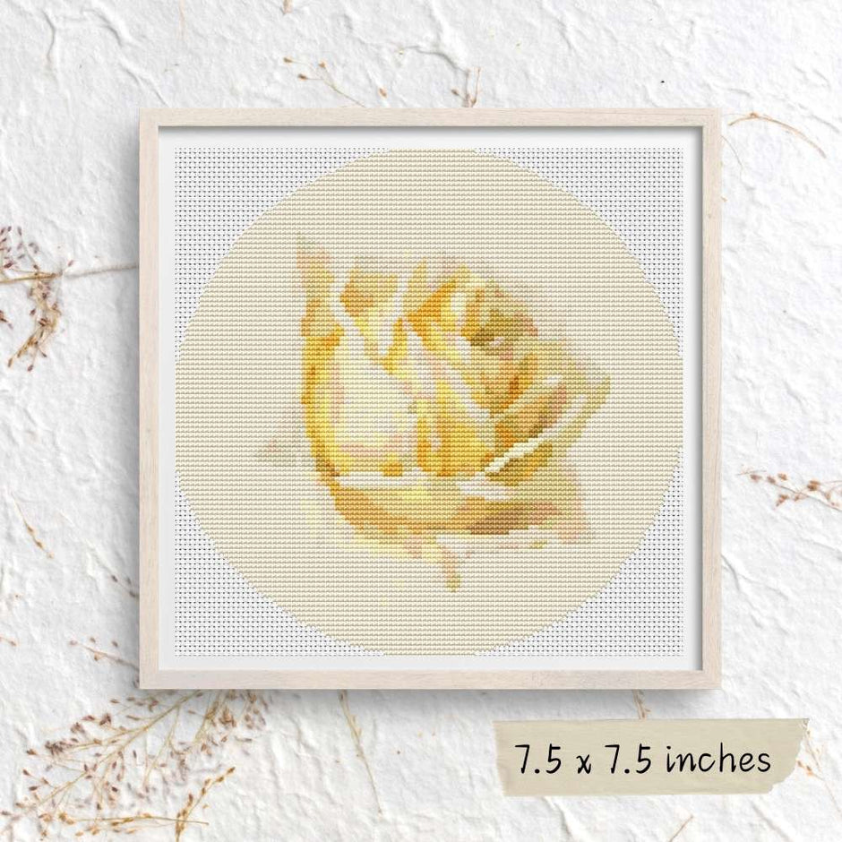Circular Cross Stitch Kits | Round Creative Designs 🧵